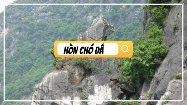 Hòn Chó Đá – Biểu tượng độc đáo giữa kỳ quan Hạ Long